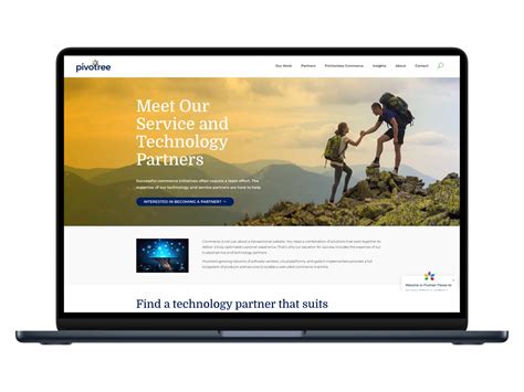 Pivotree Corporate Website Scott Newlands Creative