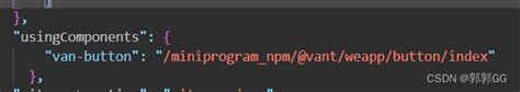微信发开者工具报错 Appjson 文件内容错误 Appjson Usingcomponents Van Button