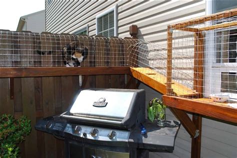 Cat Fencing And Catio Ideas Secured Cat Garden Design
