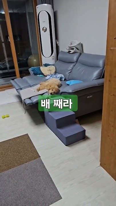 아빠가 일찍 퇴근하고 집에 왔는데 뒤에서 이러고 자고있네요 Youtube