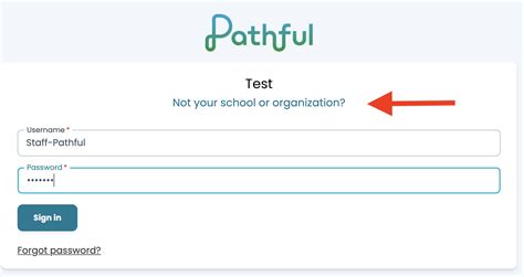 Log In Process Pathful