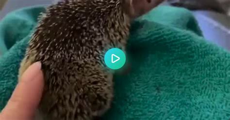 Aww Yis Album On Imgur