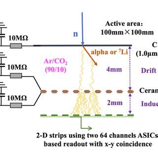 Schematic Of The Detector Download Scientific Diagram