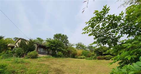 청와대 대통령 사저 부지 농지법 위반 상식적으로 보라