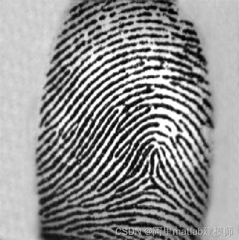基于matlab的指纹处理和识别算法详解及程序源码——指纹识别算法 matlab指纹匹配代码 csdn博客