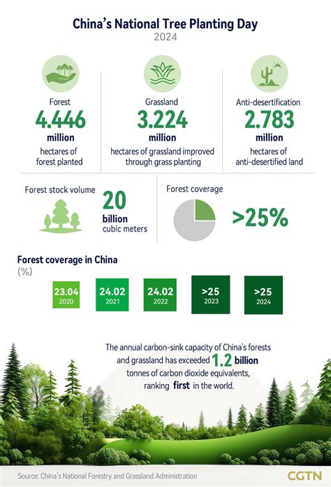 Chinas Forest Coverage Surpasses 25 Leading Global Green Expansion