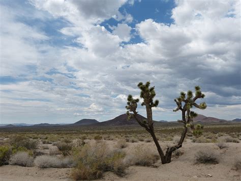 Usa Natur Öken Gratis foto på Pixabay Pixabay