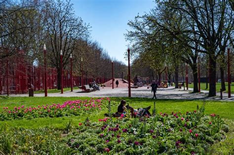Un nouveau règlement pour les parcs et jardins lillois Actualités