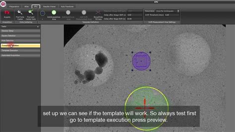Single Particle Analysis Data Collection And Epu Thermo Fisher