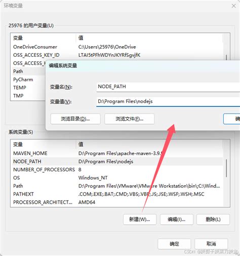 【nodejs环境配置】【webstorm】vue项目开发配置 webstorm配置nodejs环境 csdn博客