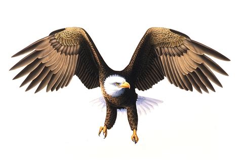 犬・猫・鳥などの動物イラスト