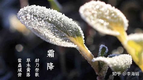 霜降此岁将暮淡暖清欢人间至此秋色尽草木摇落露为霜 知乎