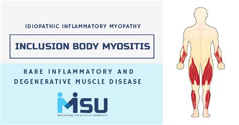 Inclusion Body Myositis Myositis Support And Understanding