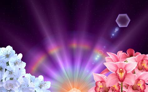 Arc Of The Sun Wallpaper Space Wallpaper Better