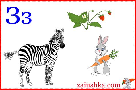 З зебра — Заюшка