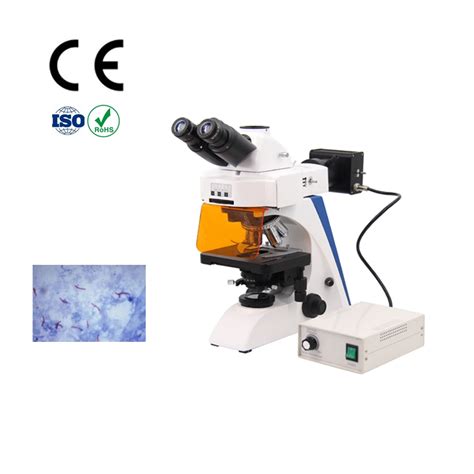 Diy Microscope Trinocular Fluorescence Microscopy Working Principlefor Magnification Microscope
