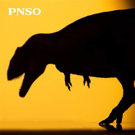 Pnso On Twitter New Release Mila The Mapusaurus From The Pnso