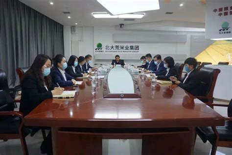 【学习贯彻党的二十大精神】学深悟透做实 把二十大精神落到实处发展工作集团