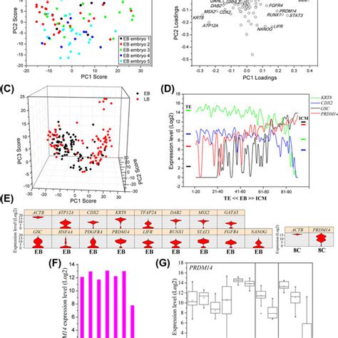 Mosaic And Regulative Development A The Difference Between Mosaic Download Scientific