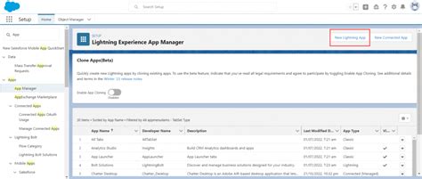 How To Create App In Lightning Experience Bay Software