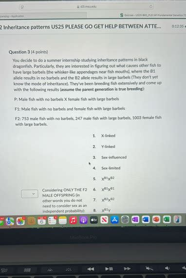 Solved cimunedyconsing - ﻿Application2 ﻿Inheritance patterns | Chegg.com