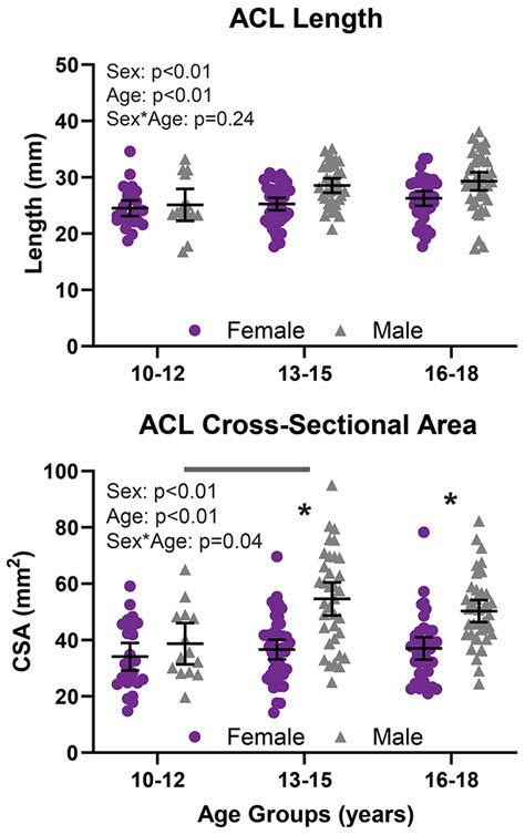Age And Sex Specific Differences In Acl And Acl Bundle Size During