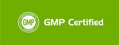 Gmp Certification At ₹ 69252 Certificate In Vasai Virar