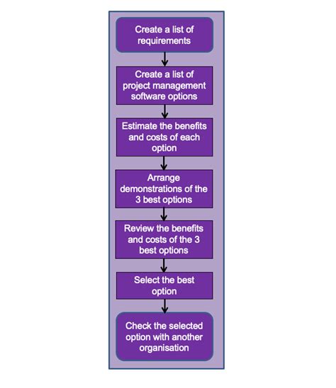 Software Selection Process Portrait SimpleP3M