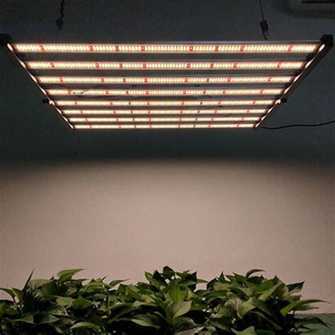 10 Mistakes To Avoid When Using Led Growing Lights Bbier®