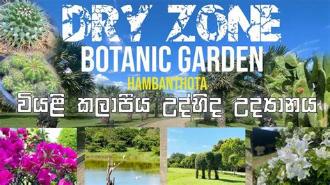 Dry Zone Botanical Garden වියළි කලාපීය උද්භිද උද්‍යානය Hambanthota