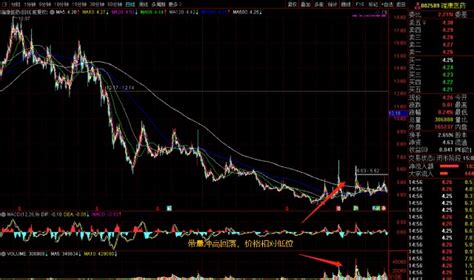 每日两股 惠博普、瑞康医药财富号东方财富网