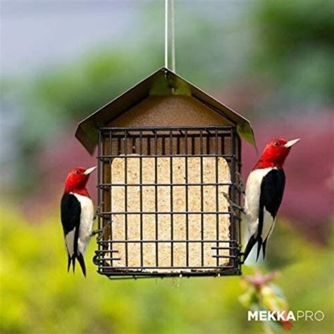 Mekkapro Double Suet Wild Bird Feeder With Hanging Metal Roof Two Suet
