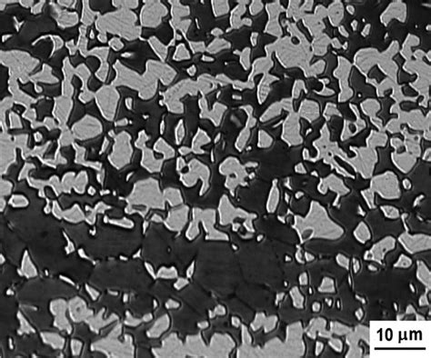Microstructure Of Specimen Ld St Download Scientific Diagram