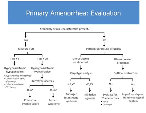 Primary Amenorrhea Algorithm