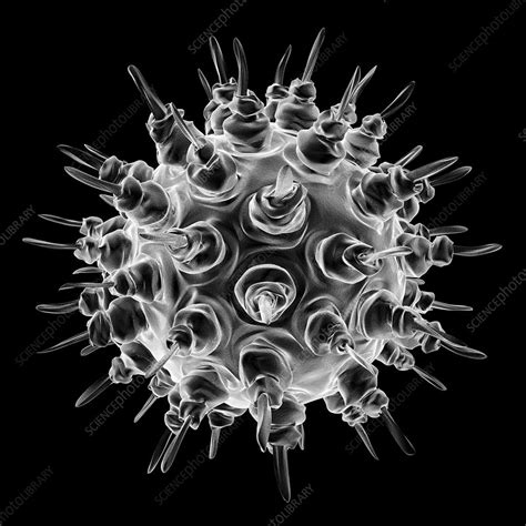 Virus Conceptual Illustration Stock Image F010 8353 Science Photo Library