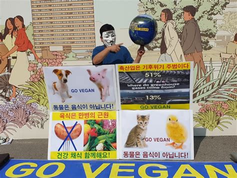 세계 채식인의 날 맞아 한국채식연합 채식은 필수