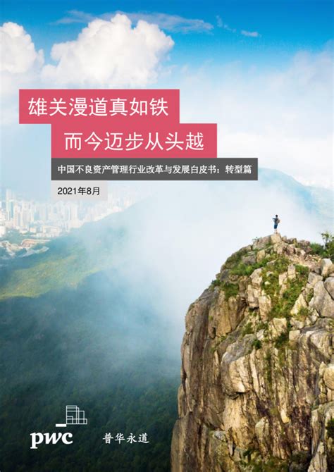 中国不良资产管理行业改革与发展白皮书：转型篇