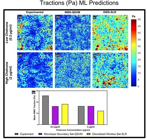 Machine Learning Prediction Of Cellular Stresses In Response To