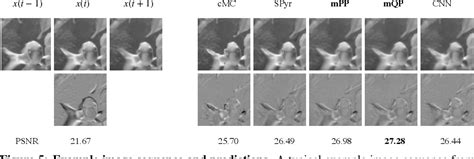 Figure 5 From A Polar Prediction Model For Learning To Represent Visual