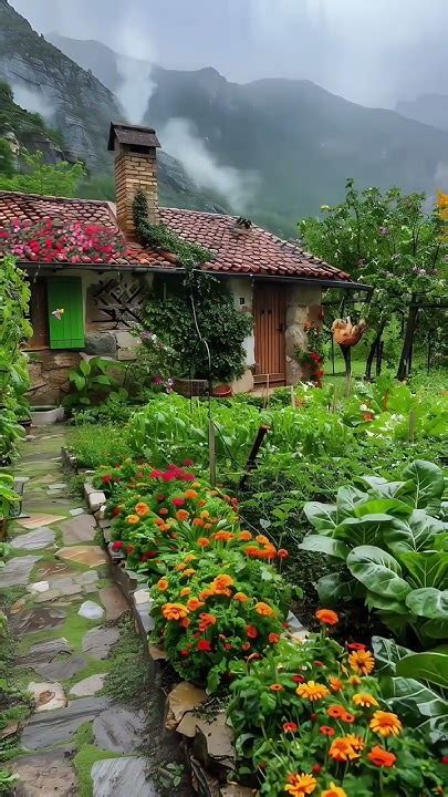 Enjoy Life In Countryside Countryside Youtube