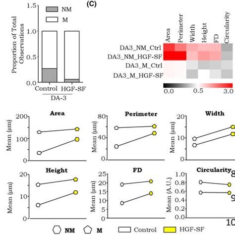 Mouse Da3 Cells Exhibit Extensive Nonmigrator Cell Size Variability Download Scientific