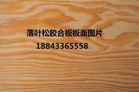 东北原木，俄罗斯落叶松，树木保护支架， 安图县亚盛木业有限公司