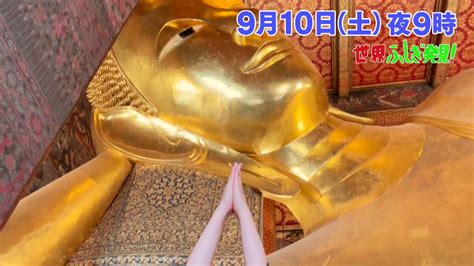 要 On Twitter Rt Fushigihakkenp 9月10日放送の ふしぎ発見！は あいタイ！食べタイ！ありがthai