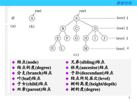 PPT 树的概念 二叉树 Binary Tree 二叉树的存储 二叉树遍历 Binary Tree Traversal 树与森林 Tree Forest