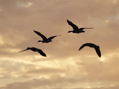 New River Trailhead Album On Imgur