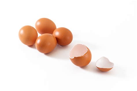 신선한 닭 전체 계란과 흰 배경에 고립 된 깨진 계란의 그룹 0명에 대한 스톡 사진 및 기타 이미지 0명 가금류 갈색