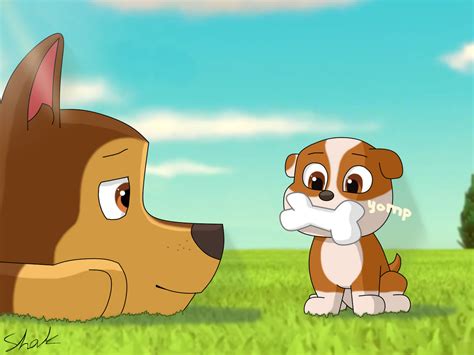Paw Patrol Rubble And Chase By Superspyshak On Deviantart