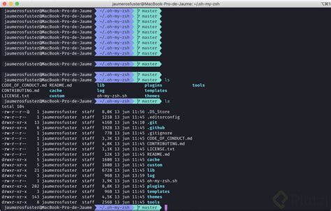 Introducción a la terminal y línea de comandos