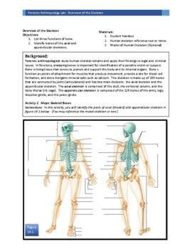 Forensics Lab Unit 14 1 Overview Of The Skeleton Forensic Anthropology