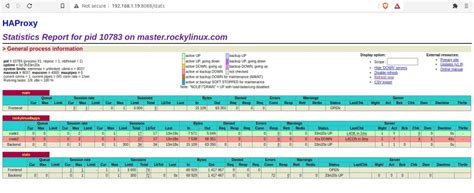 Install And Configure Haproxy On Rocky 8 Alma 8 Cloudspinx